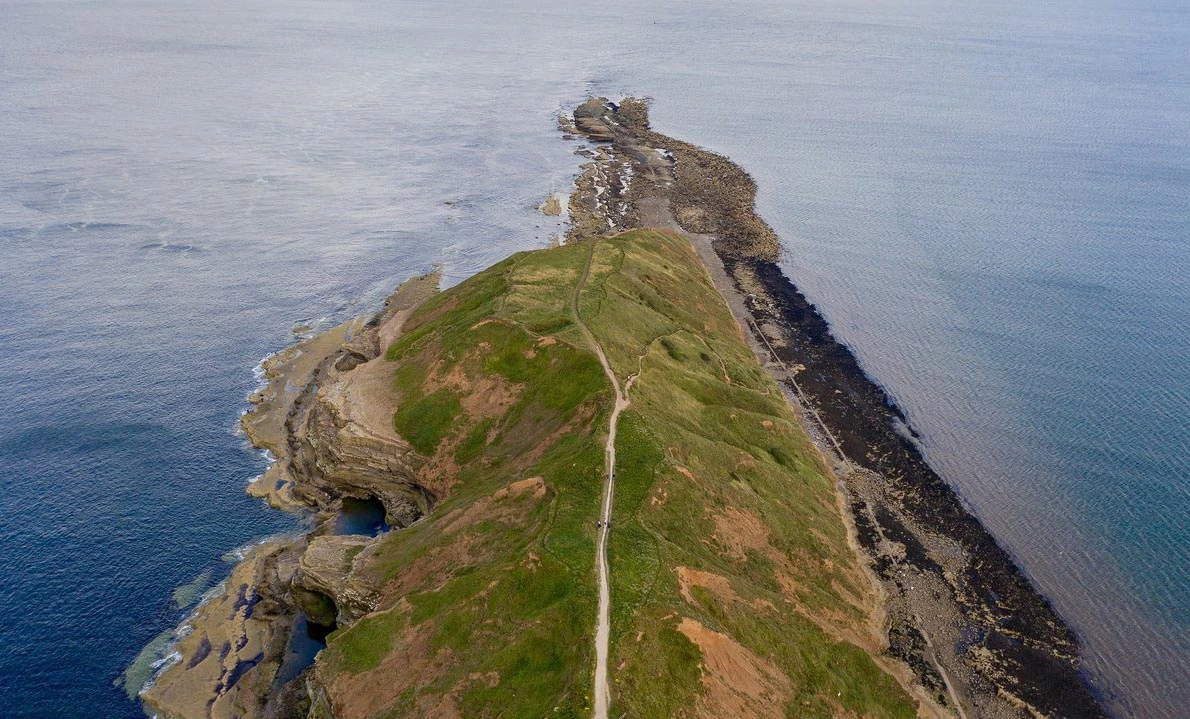 Website - Visit North Yorkshire Business